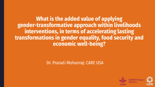 What is the added value of applying a gender-transformative approach ...