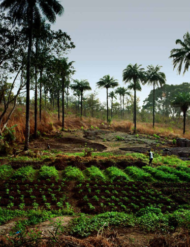 Land and soil management: Promoting healthy soils for healthier ...
