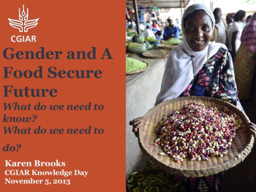 Gender and a food secure future: What do we need to know? What do we ...